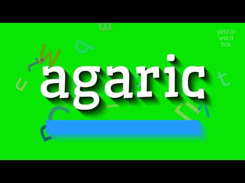 AGARIC - How to pronounce Agaric?