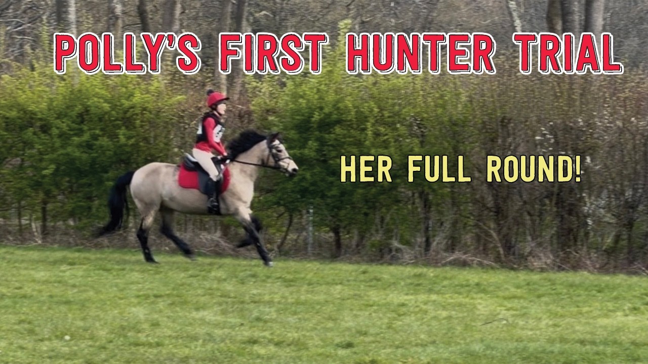 Polly the PONY Mag pony goes cross country!!😍