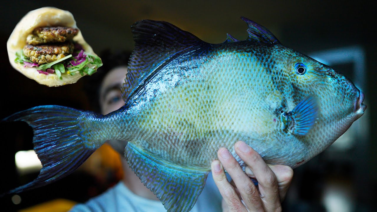 Ocean Eagle V | Triggerfish Burgers, NYC