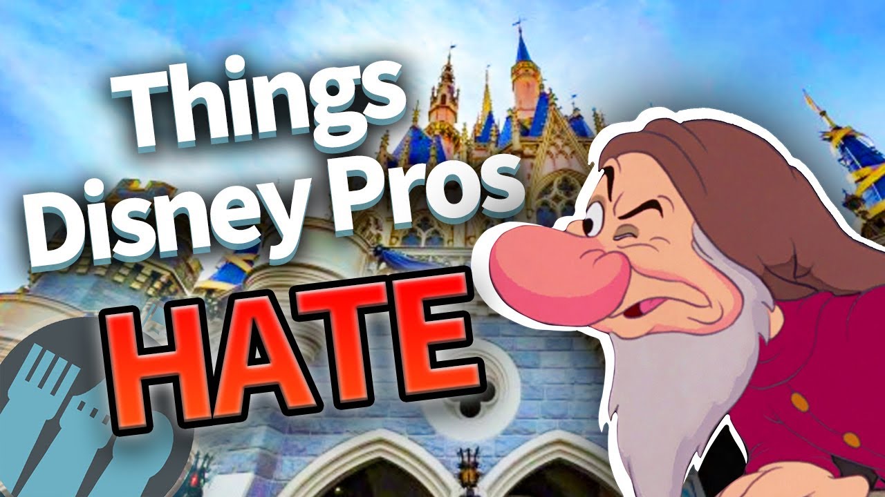 MyDisneyFix | 8 Things Disney Pros Hate | DFBGuide