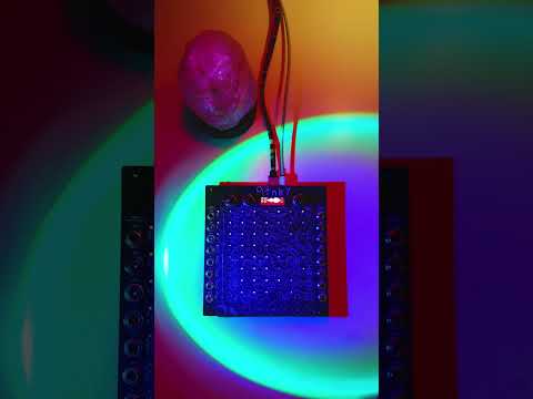 Plinky Synth White | Reverb