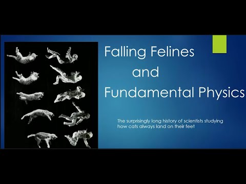My Falling Felines and Fundamental Physics colloquium at APL! | Skulls ...