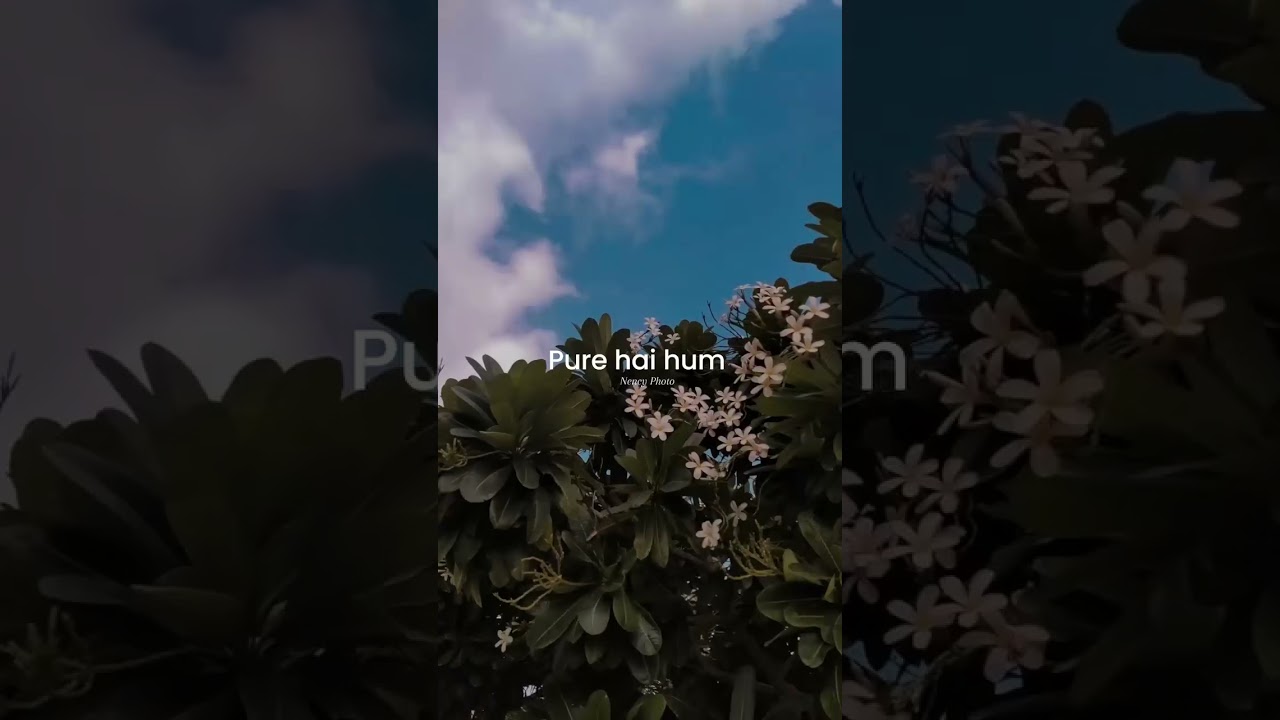 #natureclicks #cloudysky