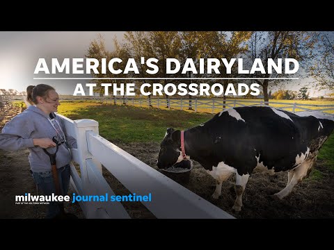 America's Dairyland at the Crossroads (Documentary)