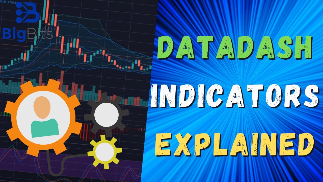 DataDash Indicators Explained