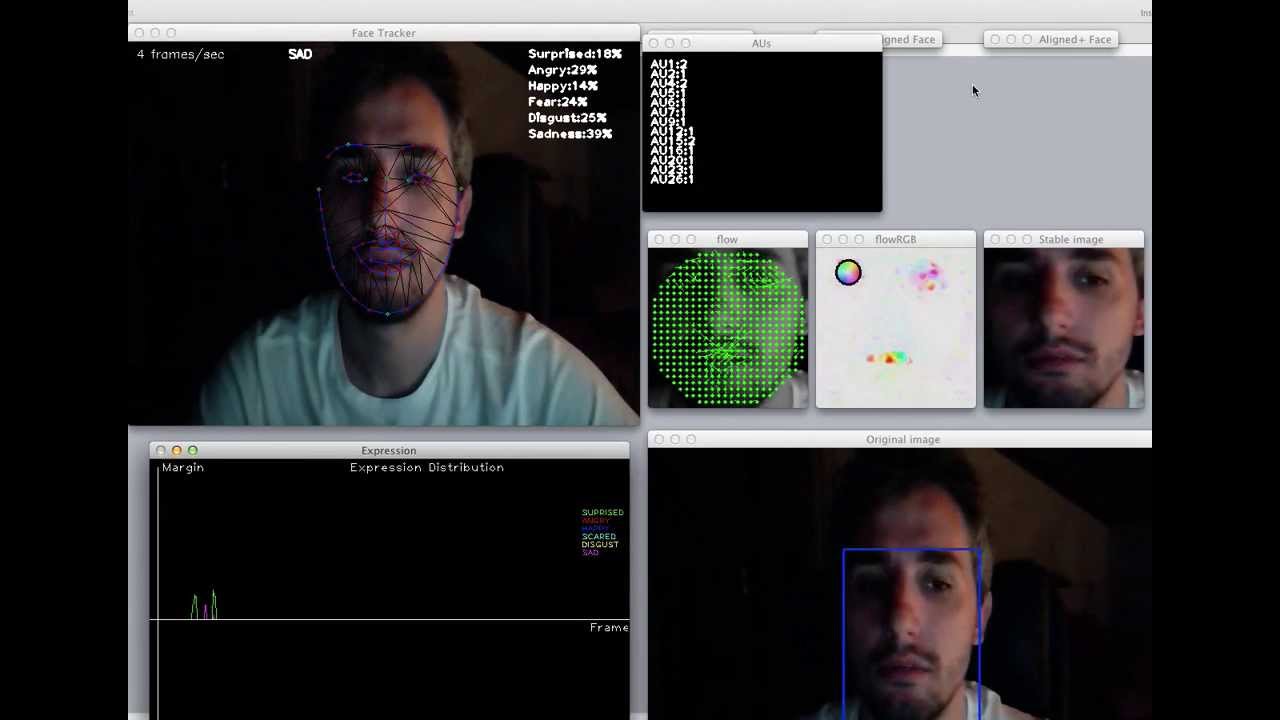 Optical flow for dynamic facial expression recognition