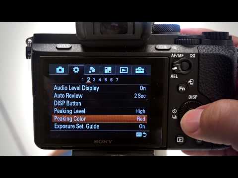 Manual Focus Tools: MF Assist and Peaking Levels on Sony Cameras