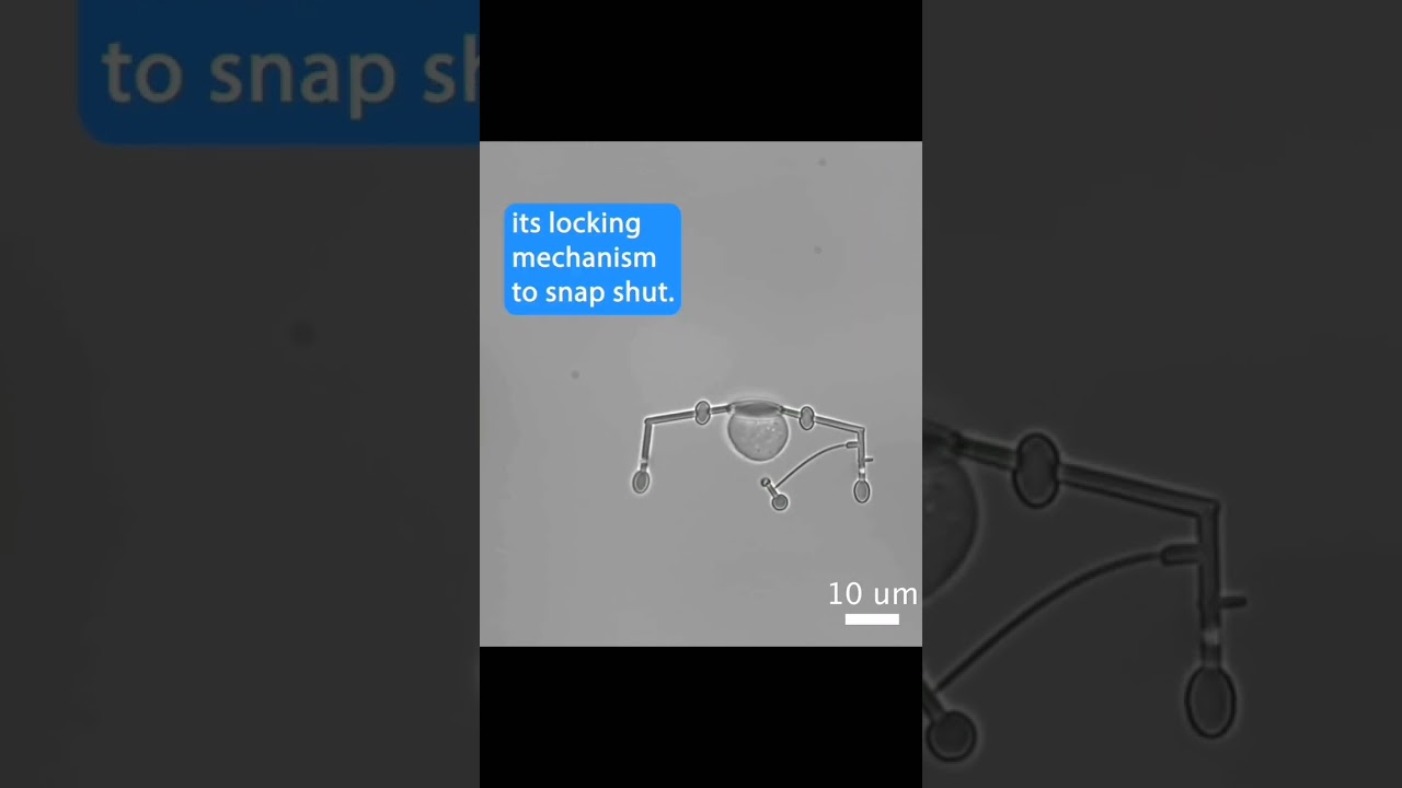 Microscale robotics for single-cell manipulation 🤯