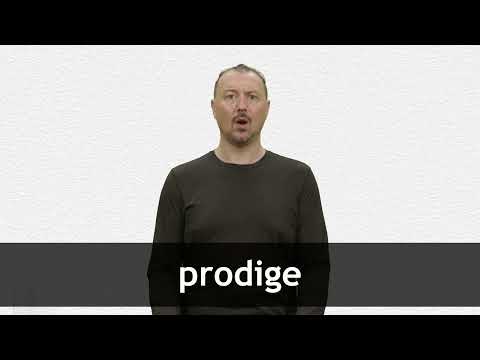 English Translation of “PRODIGE” | Collins French-English Dictionary
