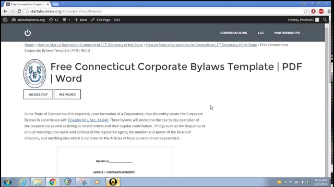 Free Connecticut Corporate Bylaws Template | PDF | Word