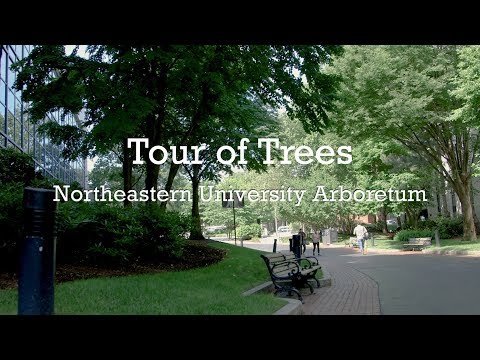 Northeastern University Campus Virtual Tour