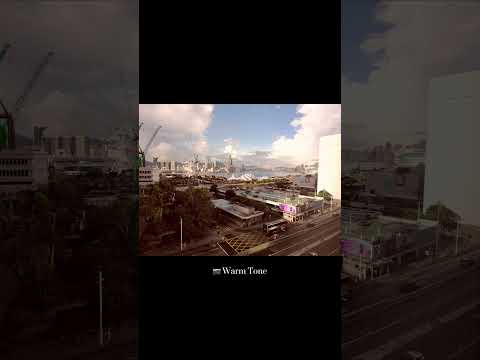 YASHICA FX-D Digital Mode Filters Sample Pics🌟