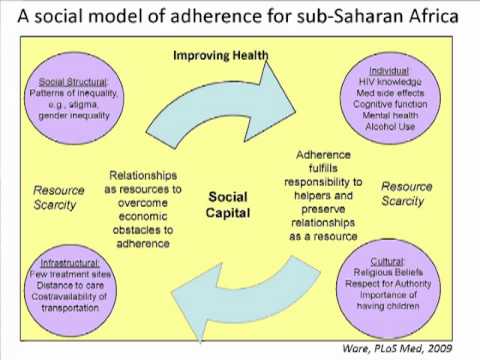 10. Organizational Change: Positive Deviance