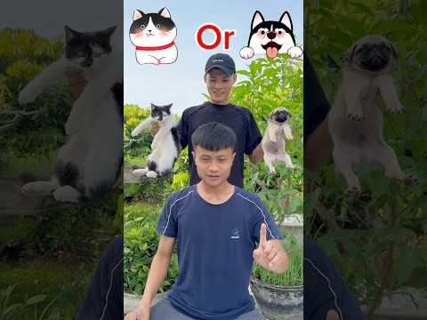 Cat Or Dog. Which animal do you choose? ๐ค๐๐ #dogcat #dog #cat #pets #animals #foryou