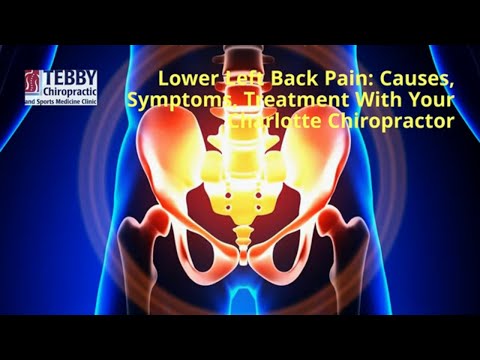 Lower Left Back Pain Causes Symptoms Treatment with Your Charlotte Chiropractor