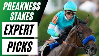 Blazing Sevens Horse Racing Profile: Preakness Stakes 2023