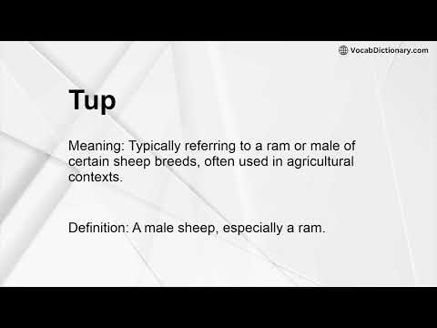 Tup Meaning