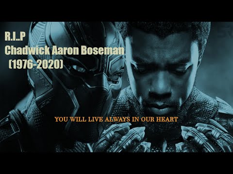 Best Jungle Based Movie Apocalypto | MOVIESUGGESTIONS AJ #moviesuggestionsaj #best
