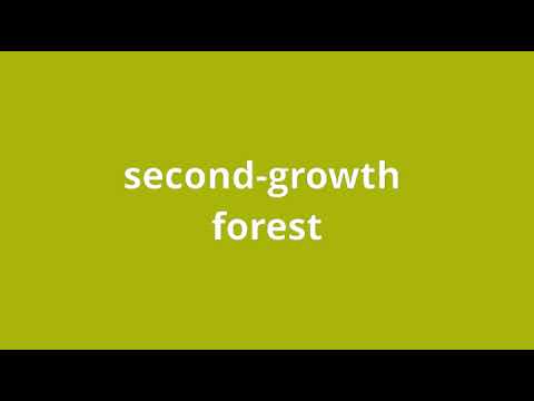 what is the meaning of second-growth forest.