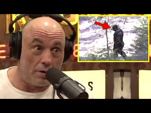 What made me start questioning Bigfoot and Giants.. | Joe Rogan