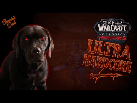 We Made the Hardest WoW Addon