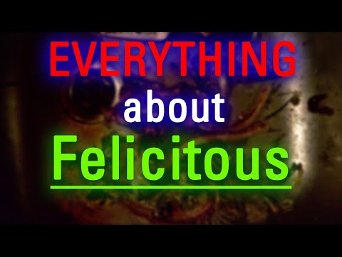 What is Felicitous? | How to Say Felicitous in English? | How Does Felicitous Look?