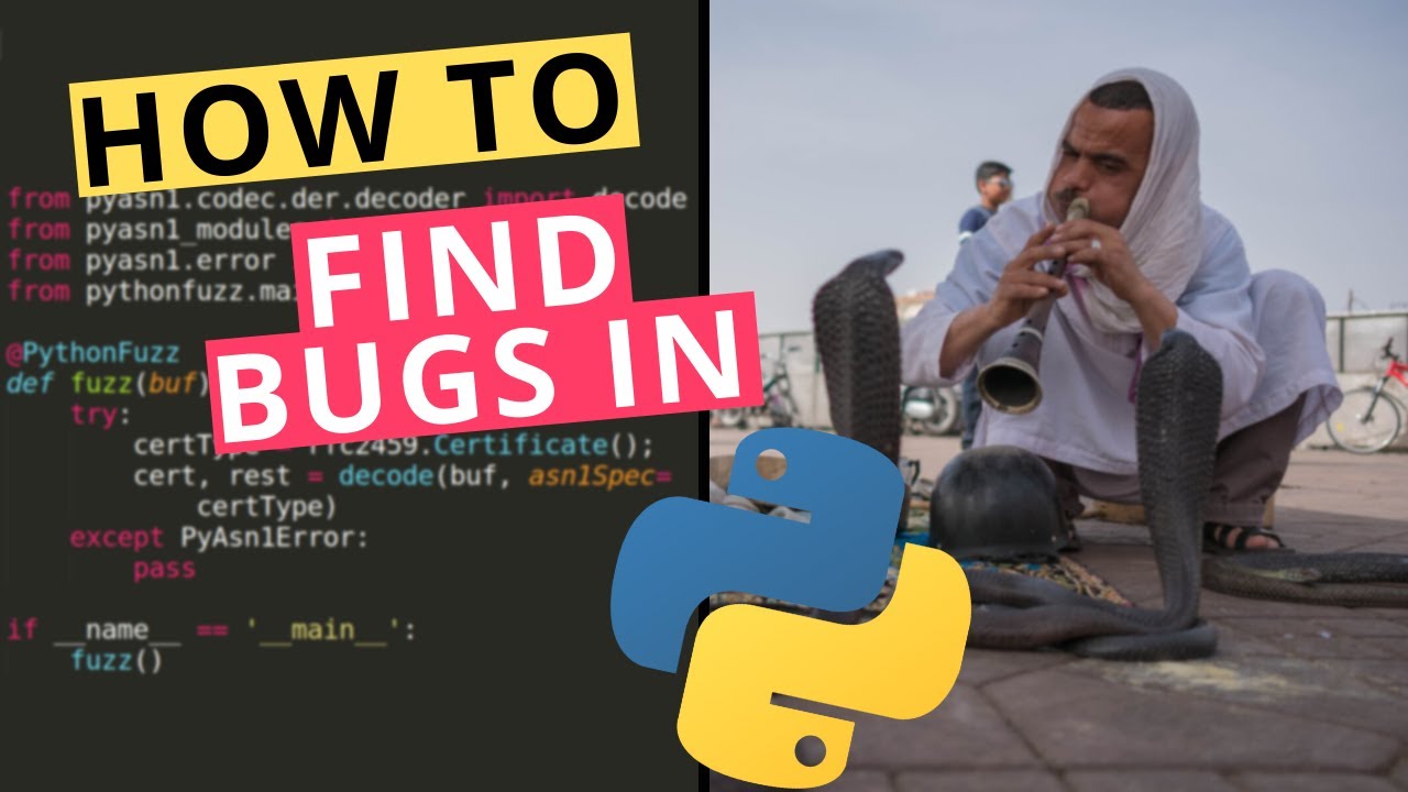 Finding Bugs in Python code using Fuzzing (pythonfuzz AFL fuzzer) - Python Security #1