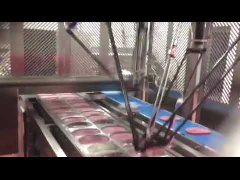 Ham Steak Robotic Thermoformer Loading | JLS Automation