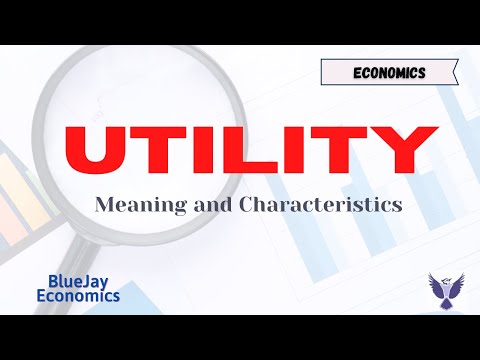 Utility Analysis- Meaning and Characteristics