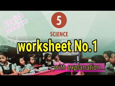 5th STD Science Worksheets no1 English Medium@rishtvtamil