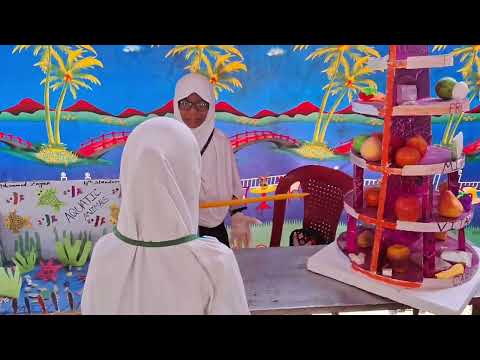 AFIF PRIMARY SCHOOL YERAGERA , Science exhibition