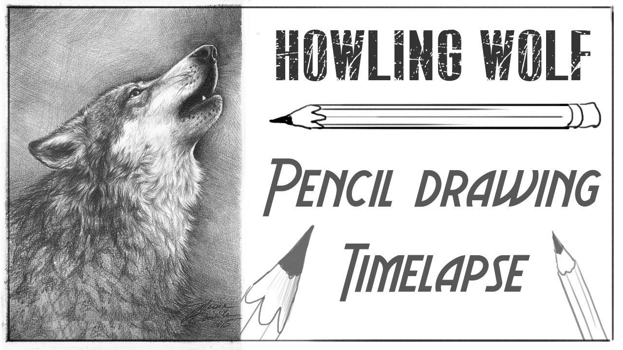 Howling Wolf - Pencil Drawing Timelapse by Dominika Sikora