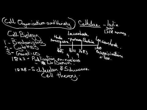 Cellular and Molecular Biology - Cell Basics