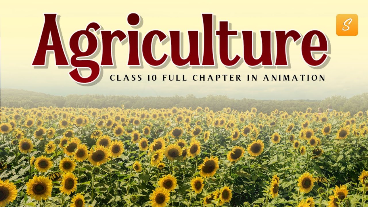 Understanding Agriculture: A Comprehensive Overview of Class 10 ...