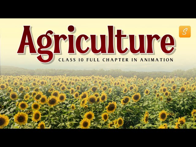 Understanding Agriculture: A Comprehensive Overview of Class 10 ...