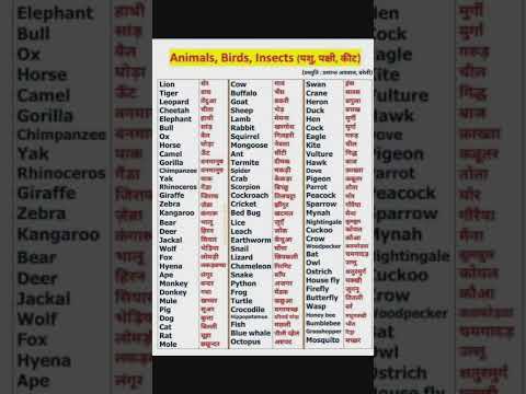 Animals Name,Birds Name ,Insects Name ll पशु, पक्षी, कीट नाम #shortvideo