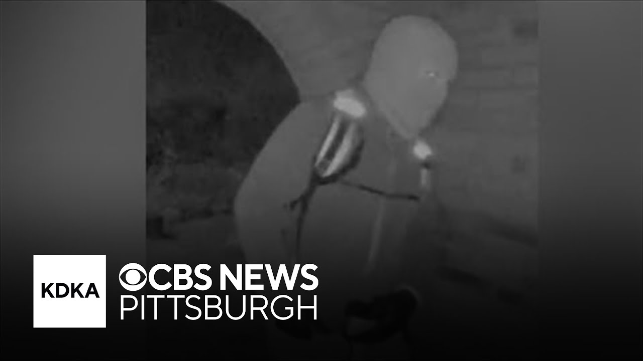 FBI releases first suspect description in Nancy Guthrie case as reward doubles to $100,000
