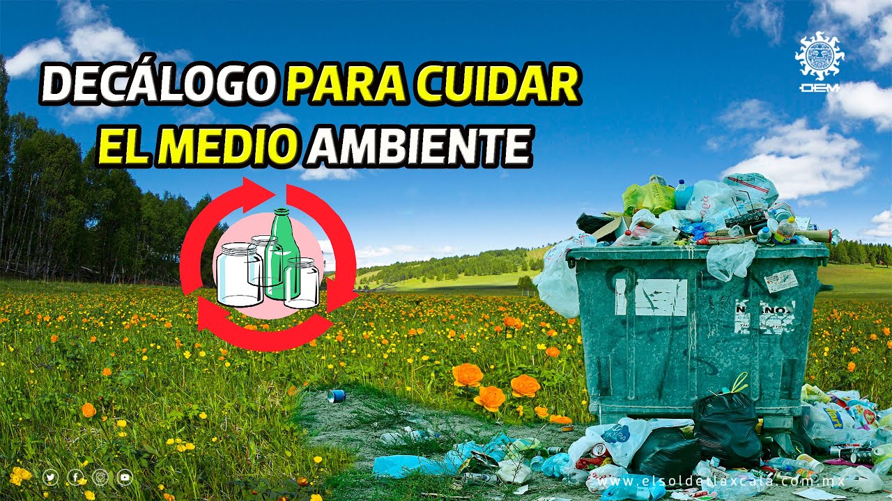 Decálogo para cuidar el medio ambiente