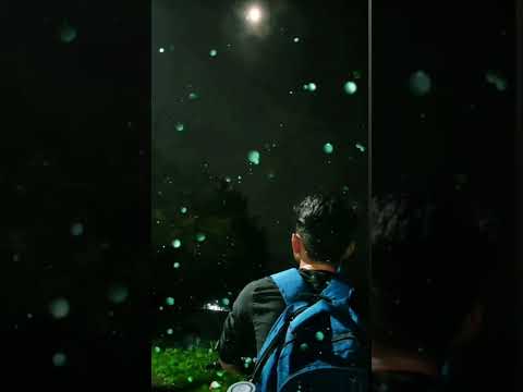 duniya ki mehfilon se ukta gaya hu ya rab #shorts #ytshorts #viral