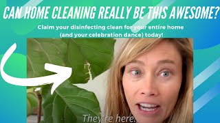 3 Best House Cleaning Services in Albuquerque, NM - Expert Recommendations