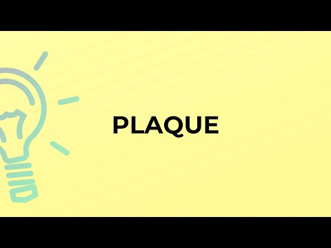What is the meaning of the word PLAQUE?