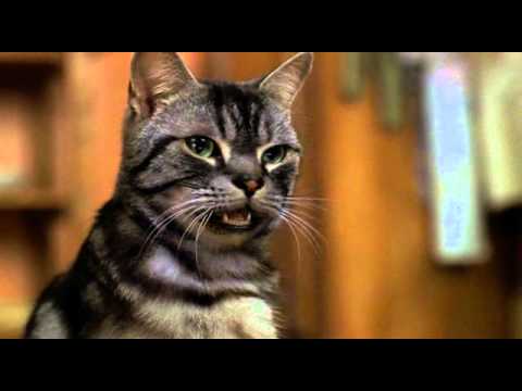Stuart Little Funny Hindi