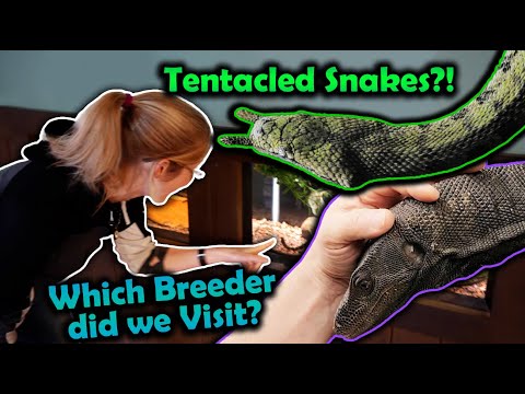 Zoo in Winter, Weird Snakes, & Center of the Universe all in Oklahoma?! (Oklahoma Vlog)