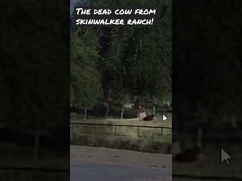 Best footage from skinwalker ranch #real