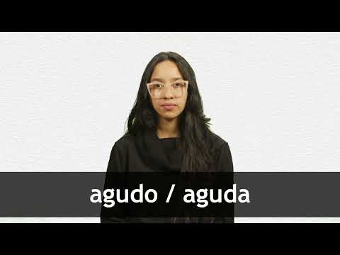English Translation of “AGUDO” | Collins Spanish-English Dictionary