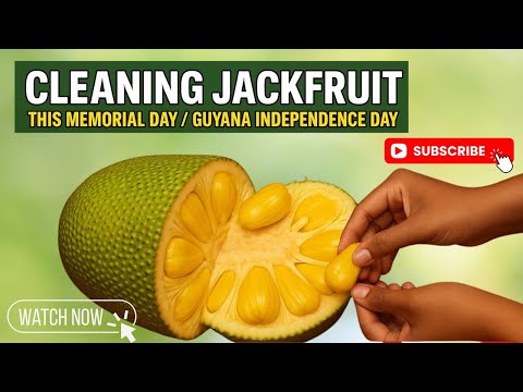 How to Clean Jackfruit | Guyana Independence Day + Memorial Day Special 🍈🇬🇾🇺🇸