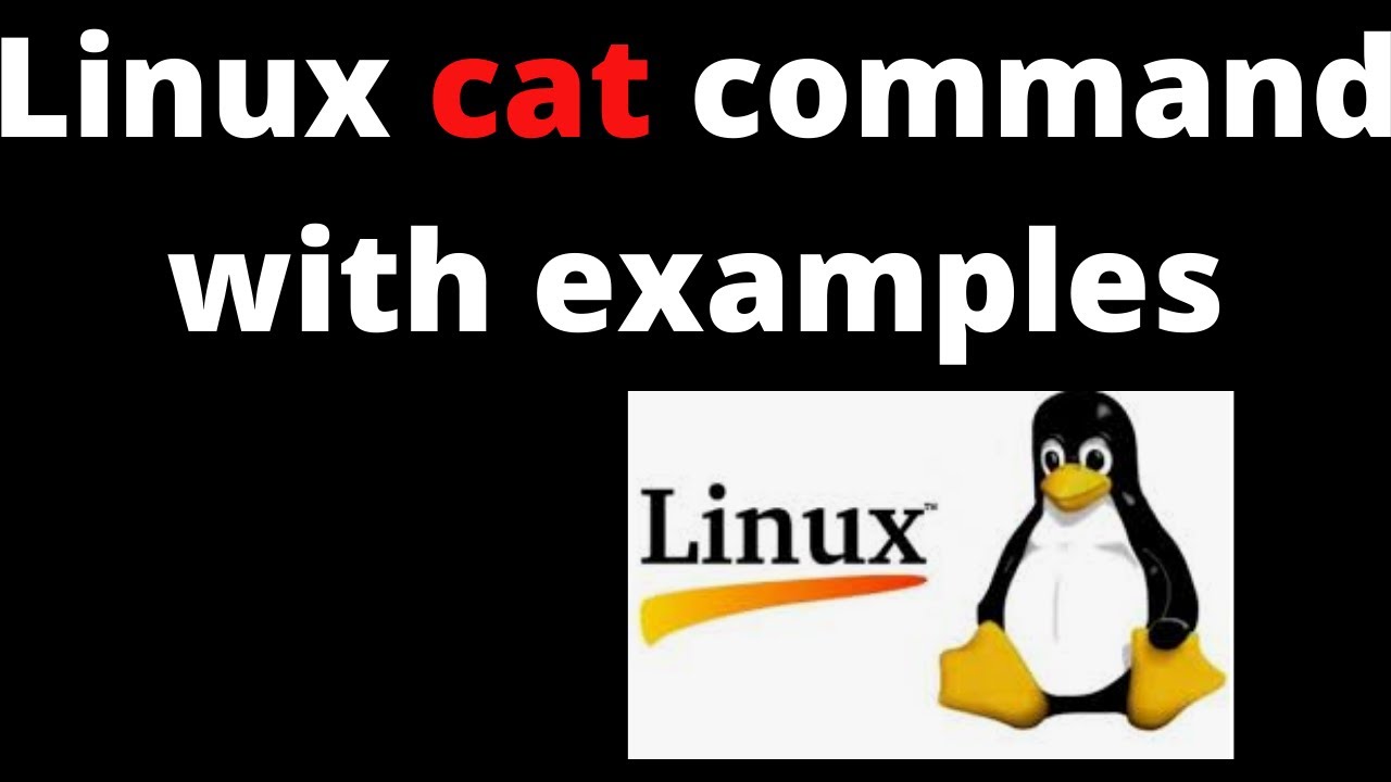 4. Linux Tutorials: Linux cat command with examples