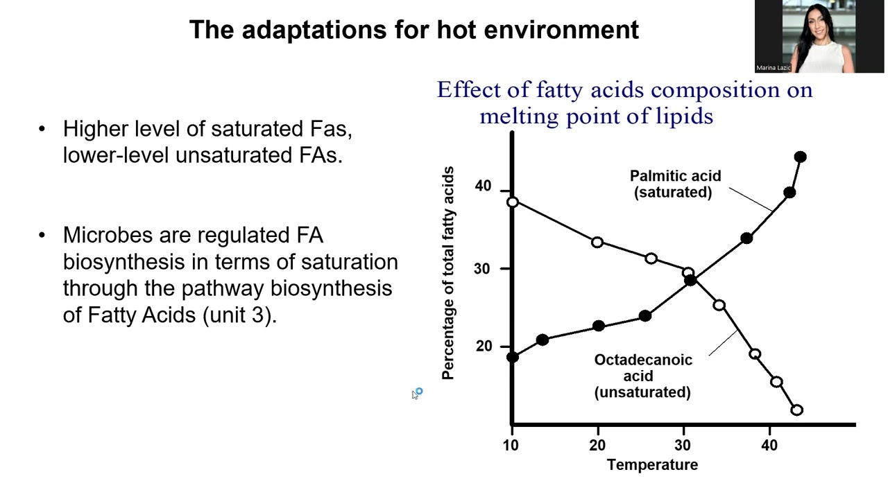Unit 5 Lecture 2 Microbial Stress Response Fall 2024