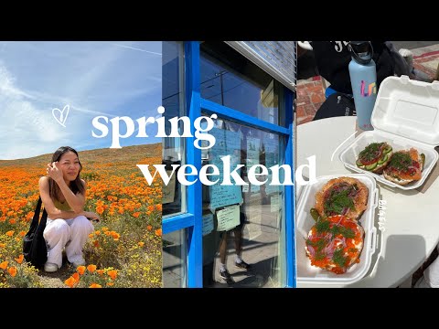 life in LA | visiting poppy fields, registering for Central Casting 💐