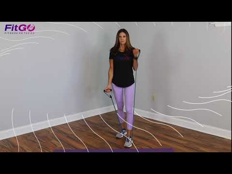 Get a FULL BODY Workout with One Bag | FitGO Fitness on the Go